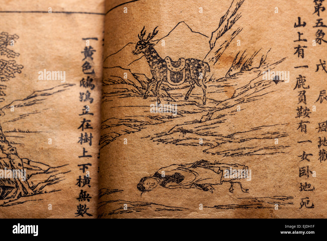 A very old Chinese divination book, "Tui Bei Tu", Ming Dynasty Stock ...