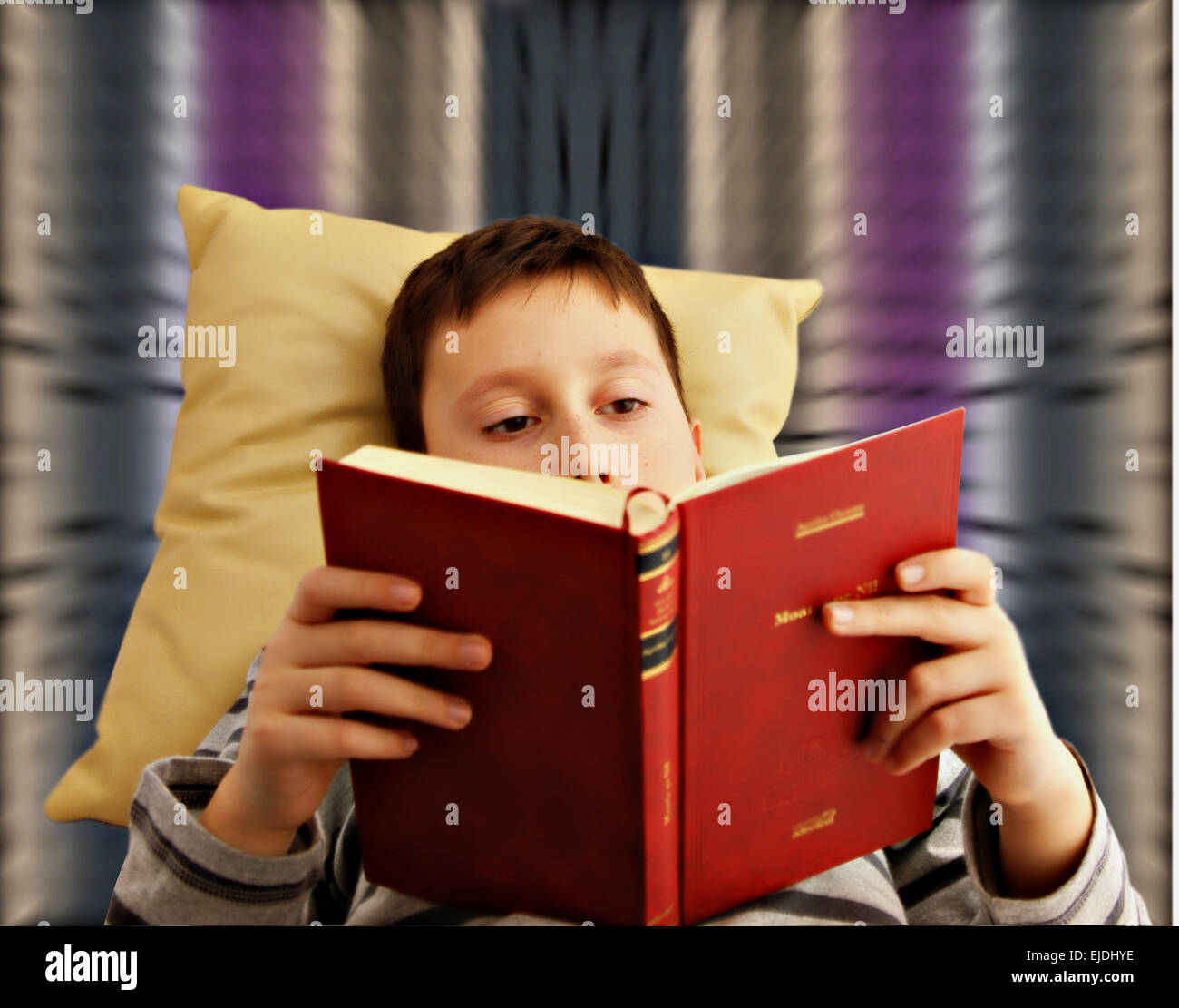 Boy reading a book Stock Photo - Alamy