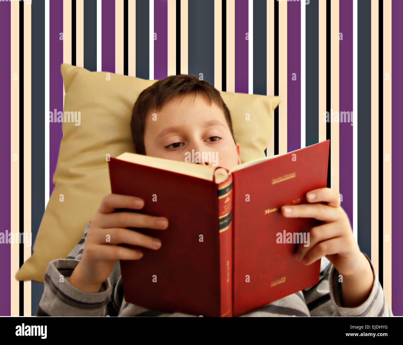 Boy reading a book Stock Photo - Alamy