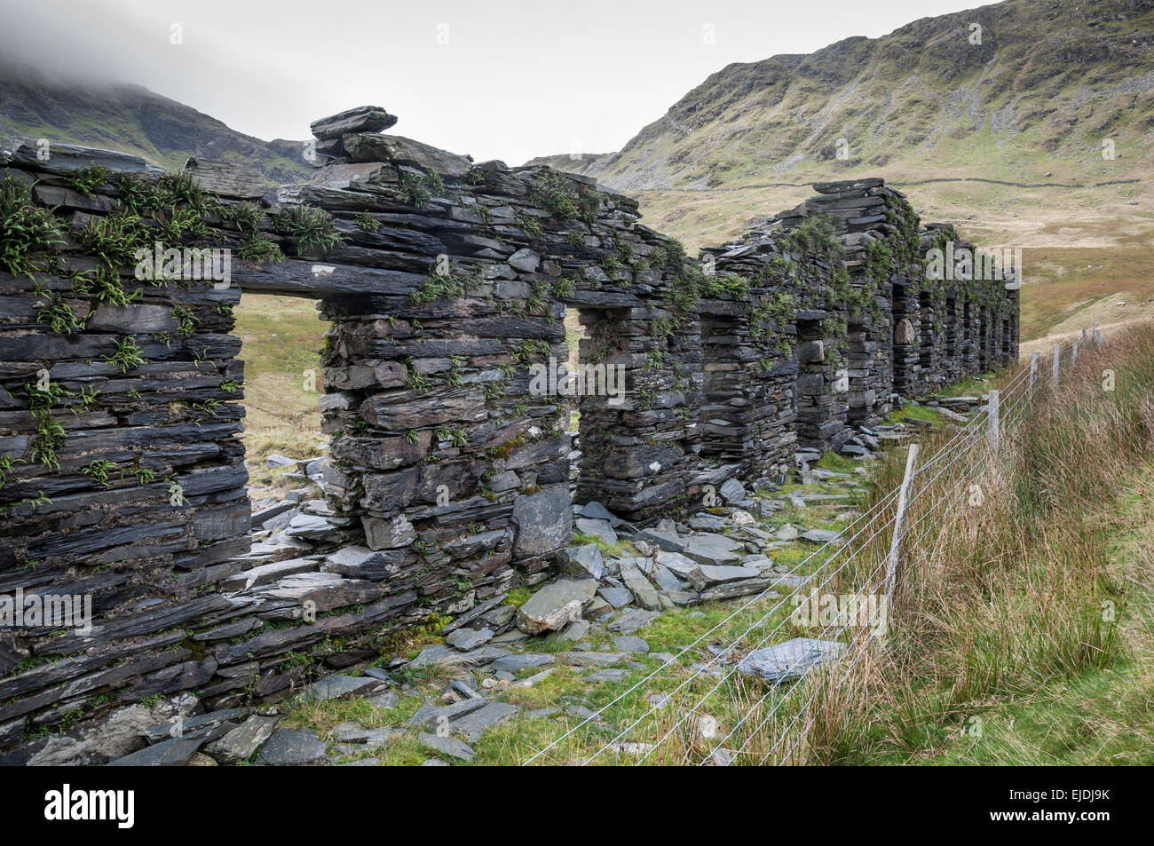 Ruins of old quarry buildings beside the Watkin Path in Snowdonia ...