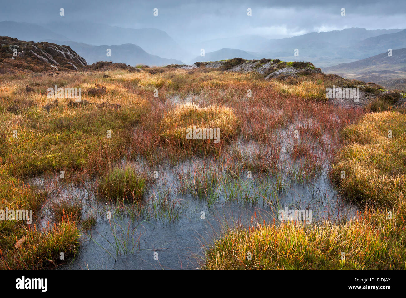 Colourful grasses and plantlife in a moorland pool above hills near ...