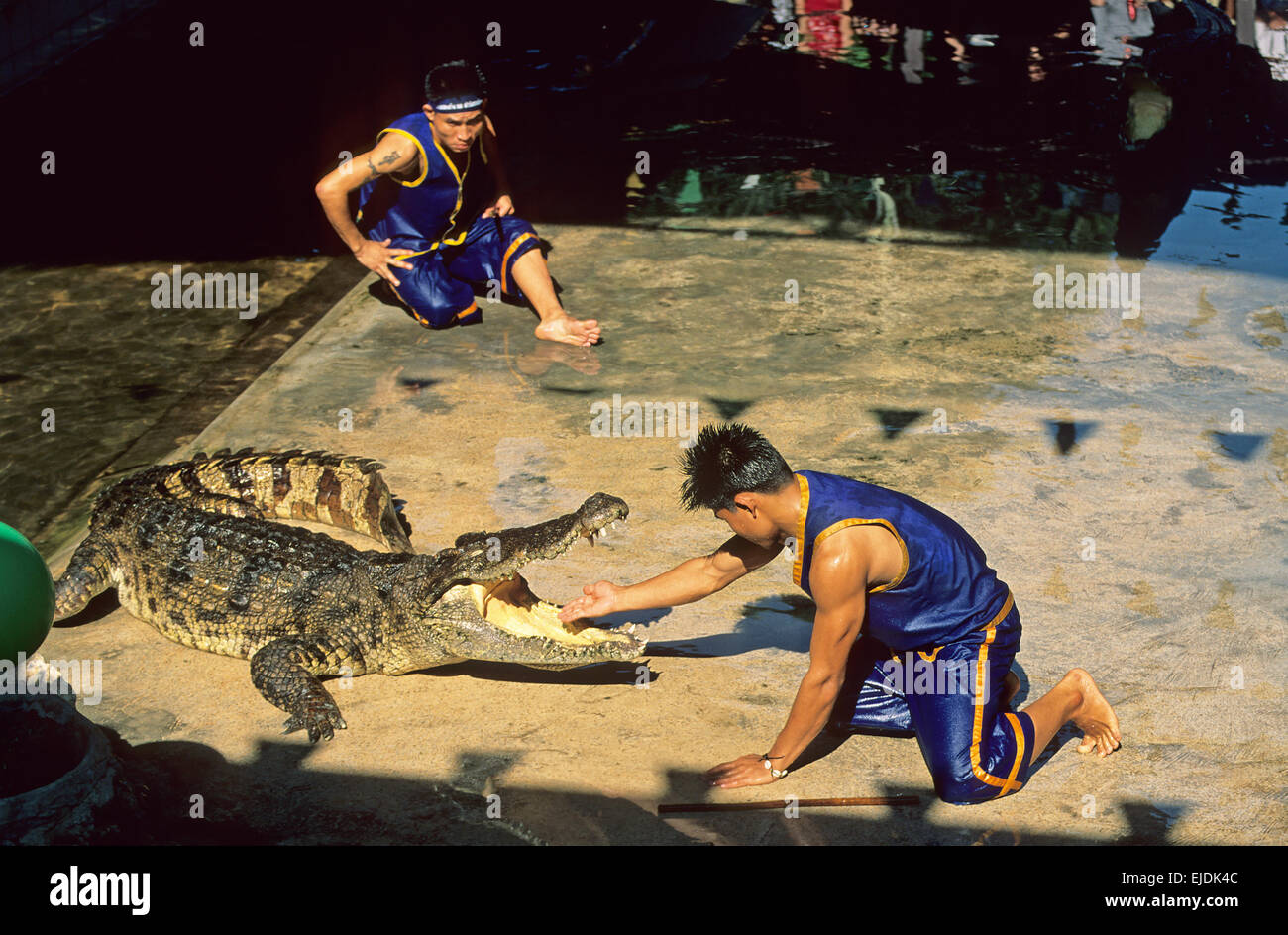 Crocodile mouth open bangkok, thailand hi-res stock photography and ...