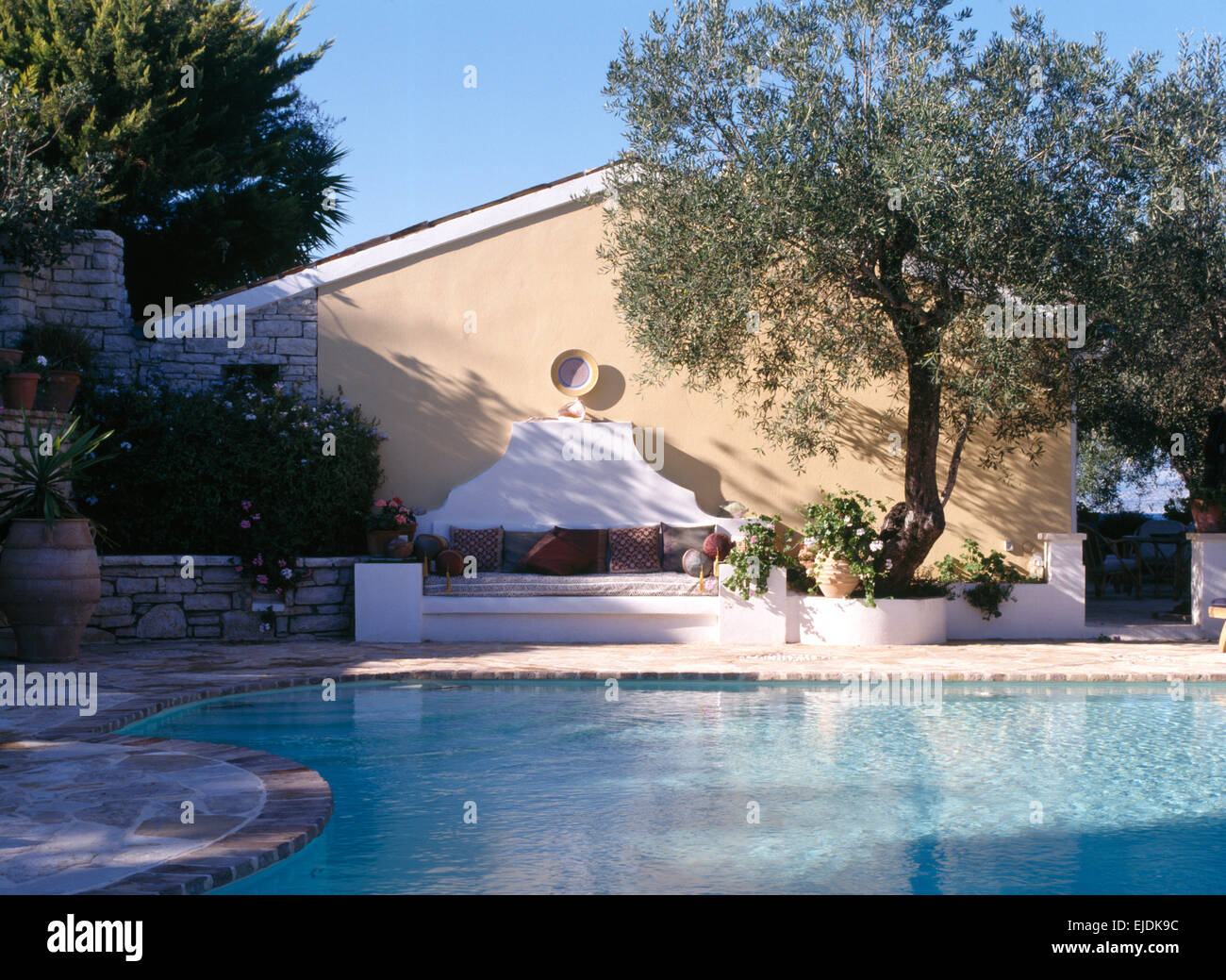 Olive tree swimming pool hi-res stock photography and images - Alamy