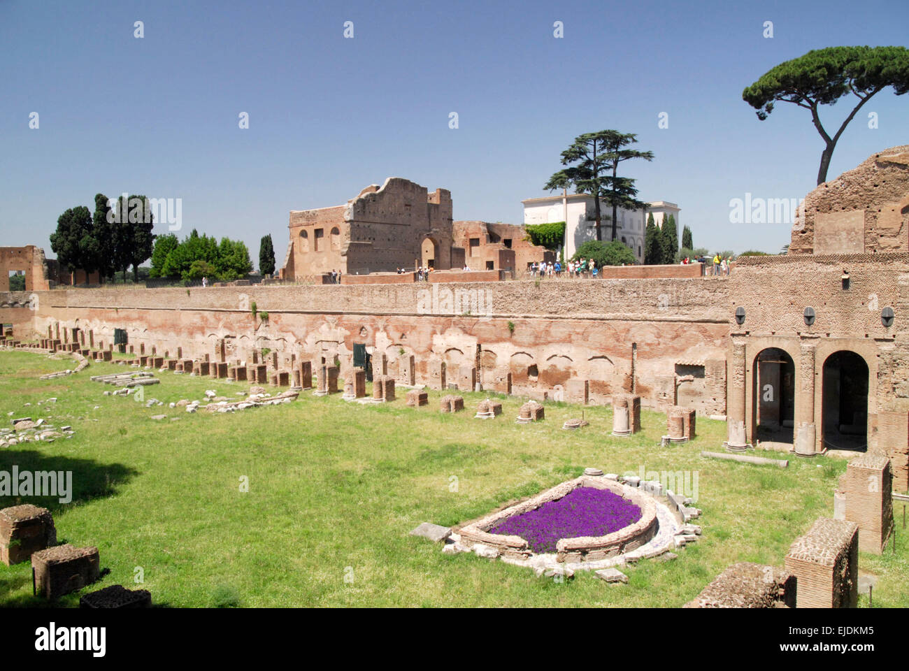 Stadio Domus Flavia on the Palatine Hill, Rome Stock Photo - Alamy
