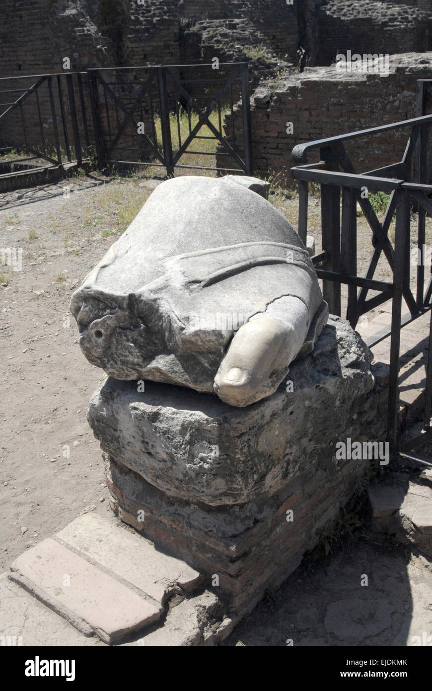 Missing toes hi-res stock photography and images - Alamy