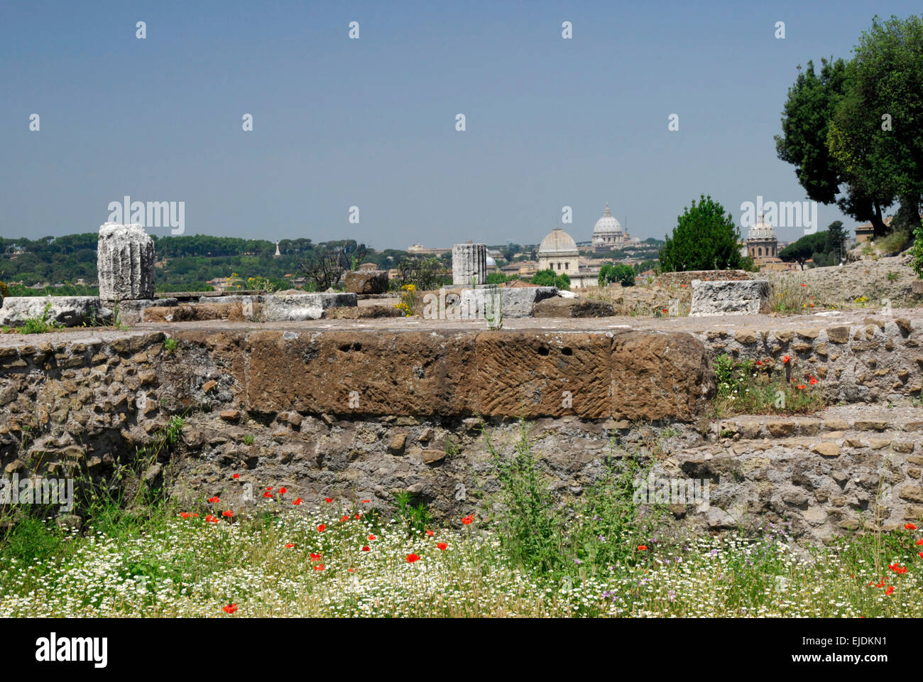 Ancient and Renaissance Rome. View of Rome from the Palatine with dome ...