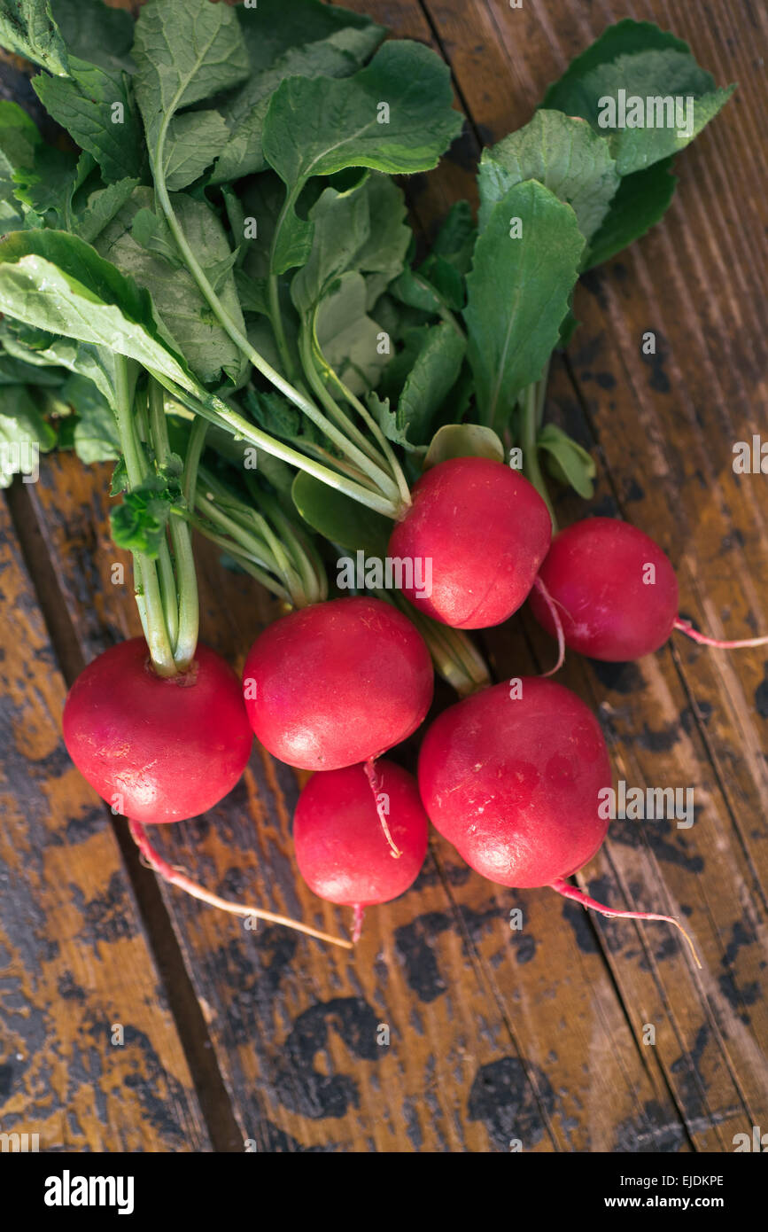 Bundle organic radishes on hi-res stock photography and images - Alamy