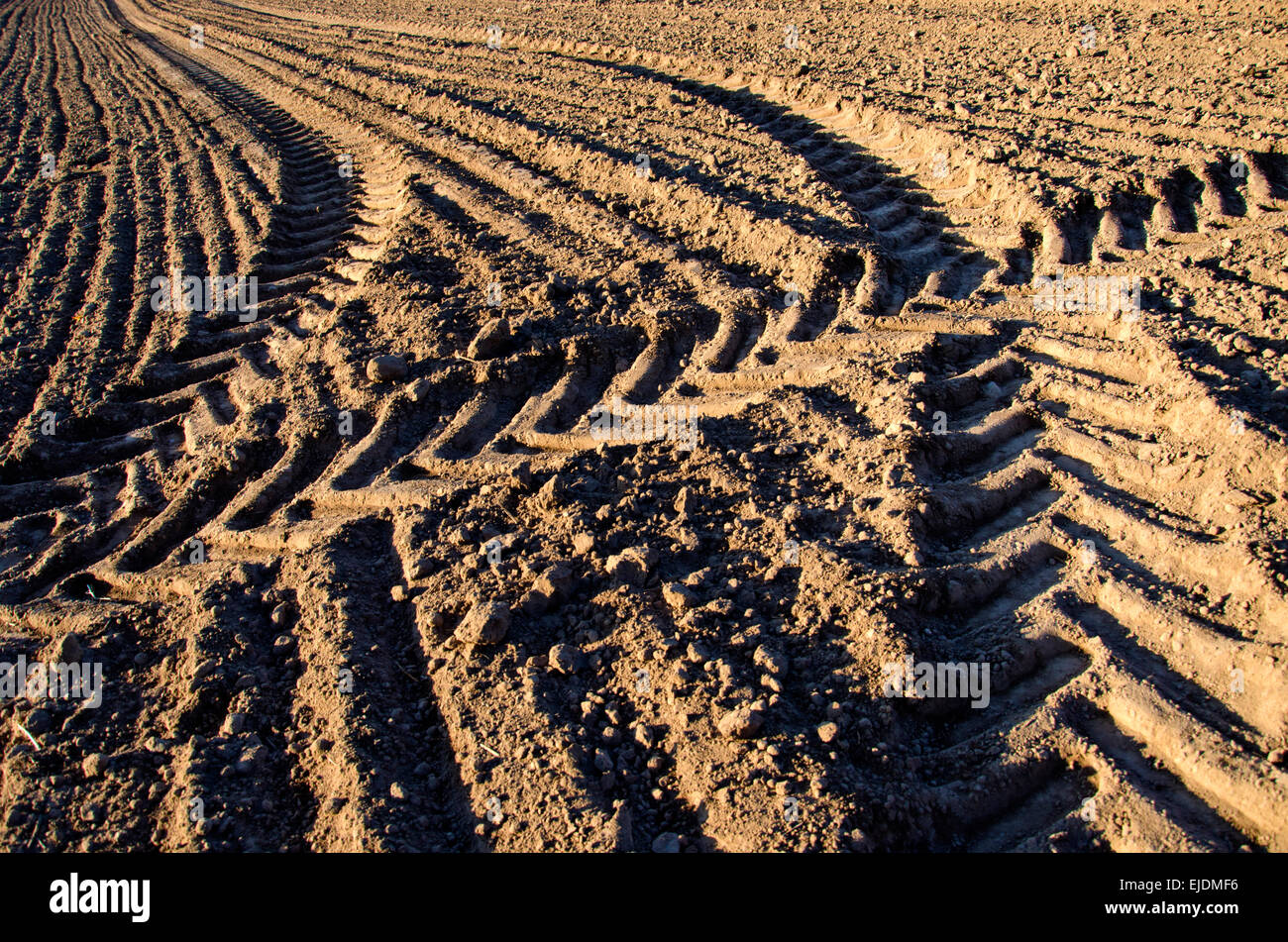 agriculture tractor traces on cultivated farm field soil Stock Photo ...