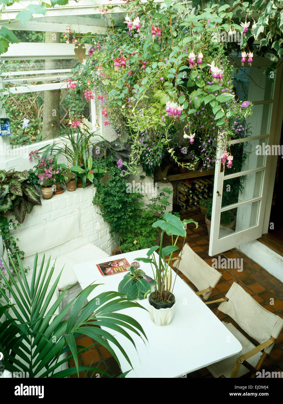 Birdseye view of eighties conservatory dining room with pink fuchsia ...