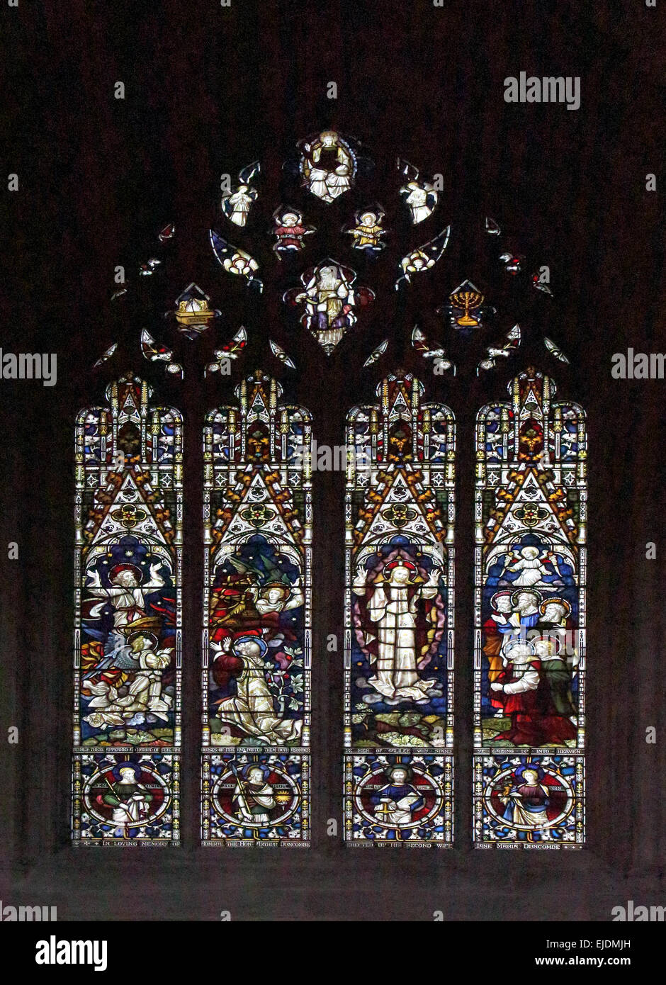 stained glass windows in beverley minster Yorkshire Stock Photo - Alamy