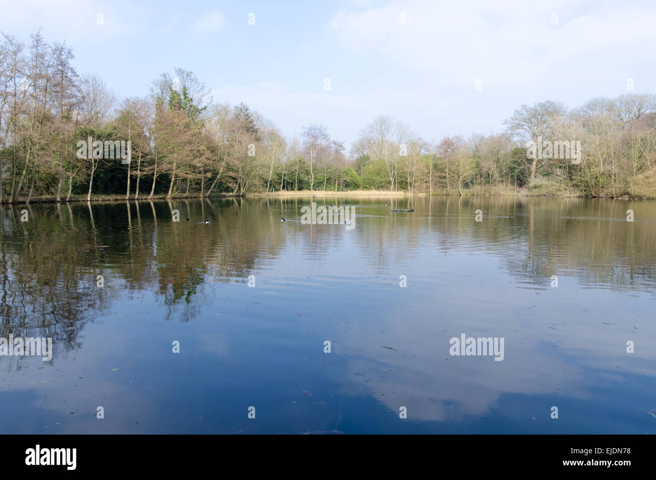Ice House Pool in Priory Woods in Sandwell Valley Country Park, West ...