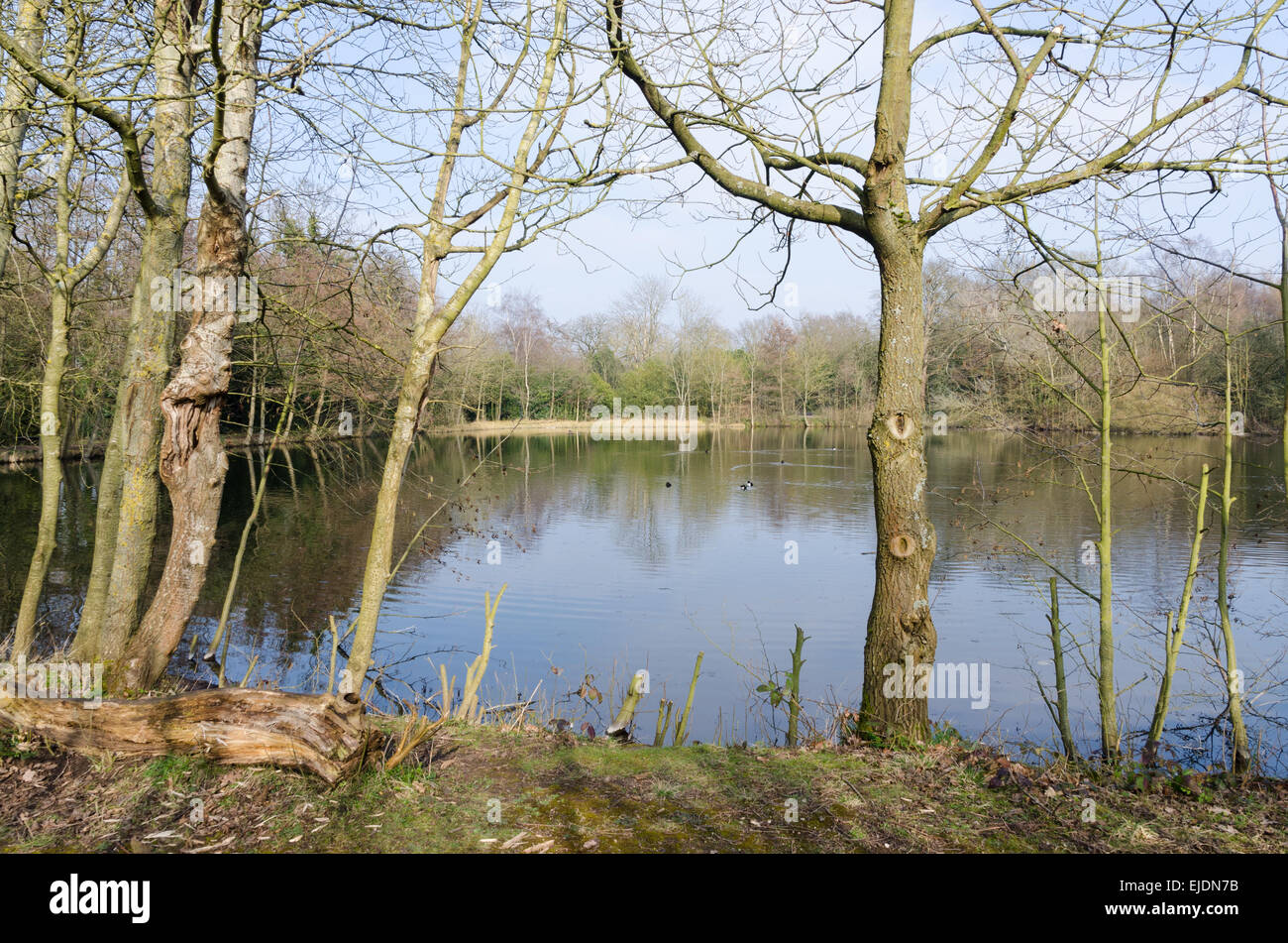 Ice House Pool in Priory Woods in Sandwell Valley Country Park, West ...