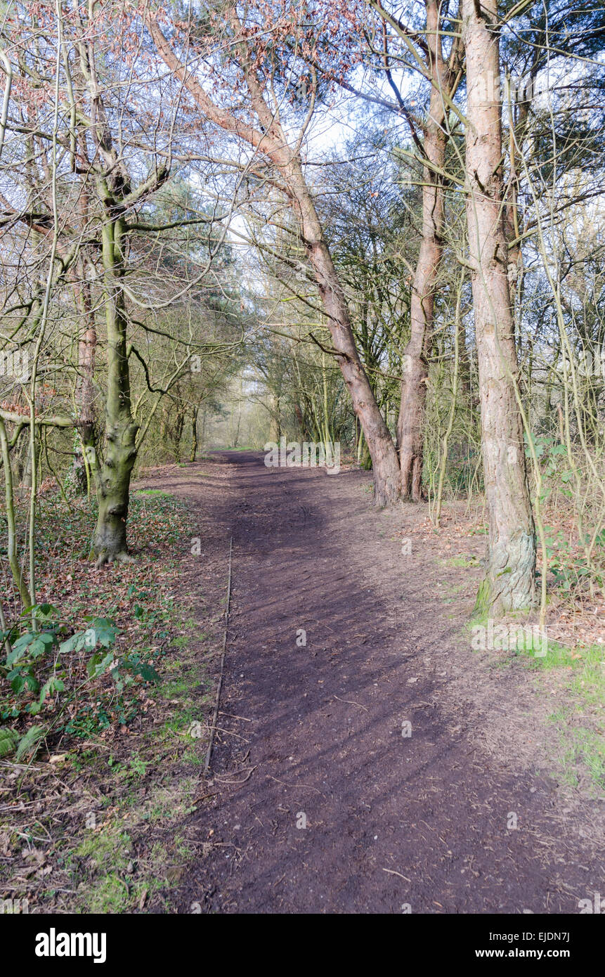 Priory woods hi-res stock photography and images - Alamy
