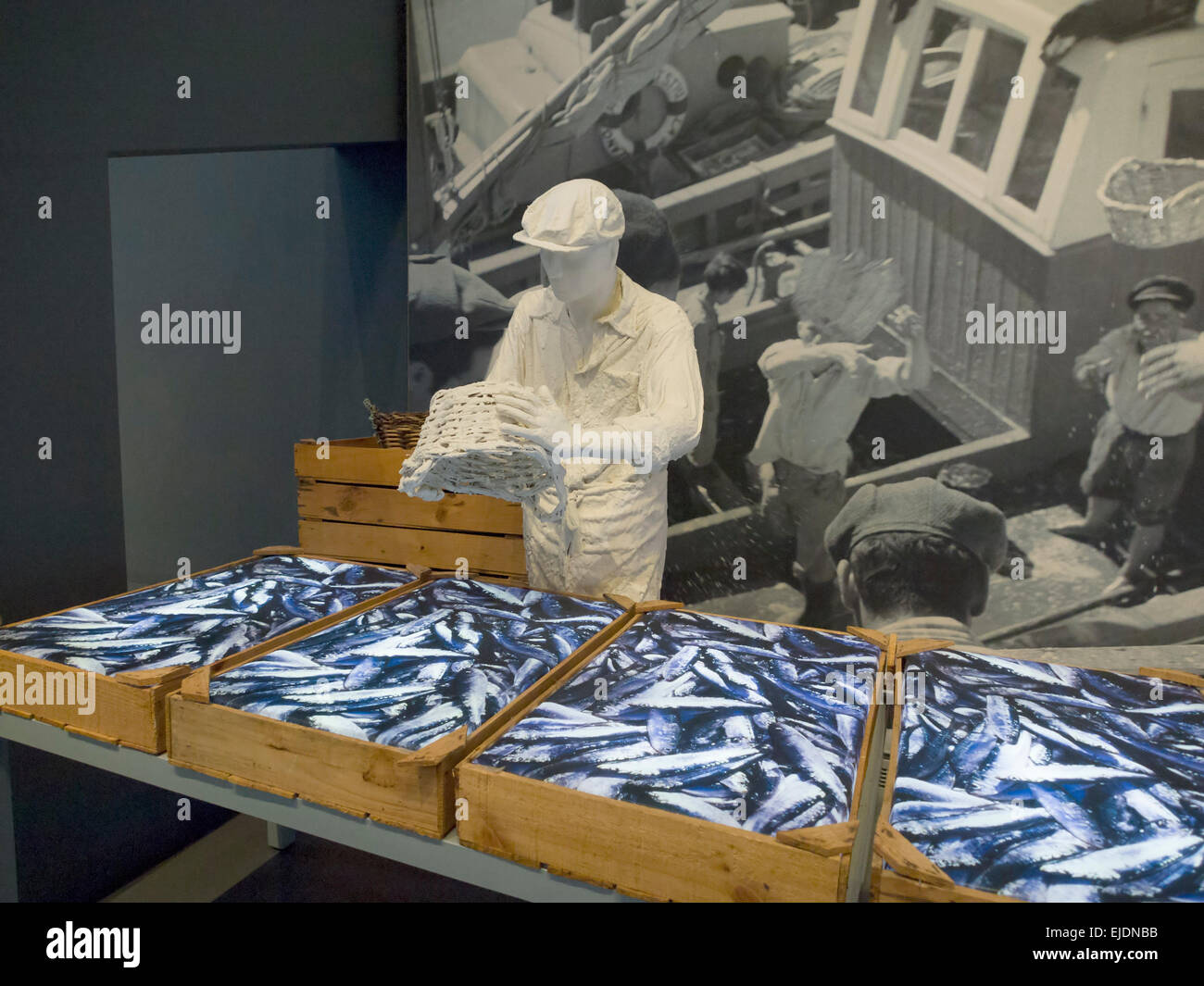 Portimao Museum in Portimão, Algarve, Portugal Stock Photo - Alamy