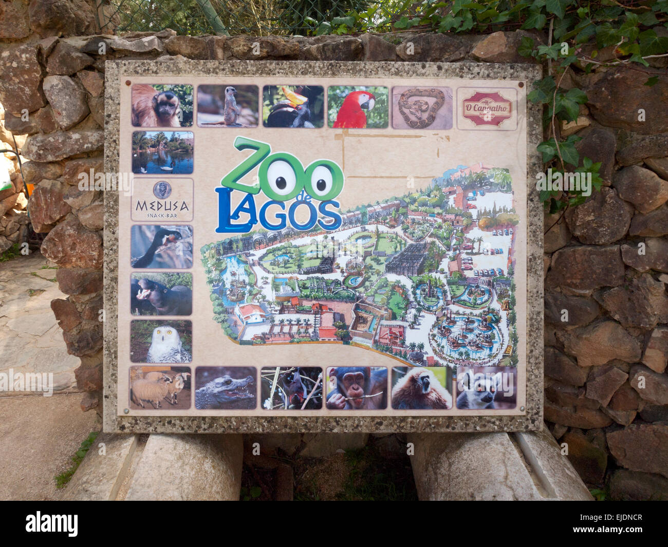 Lagos zoo portugal hi-res stock photography and images - Alamy