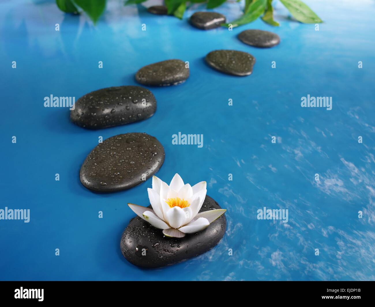 zen stones in blue water with lily Stock Photo - Alamy