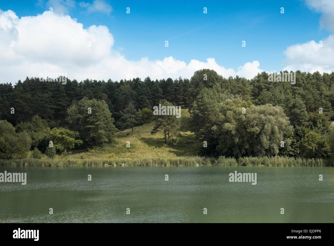 Woodland waterfront park hi-res stock photography and images - Alamy