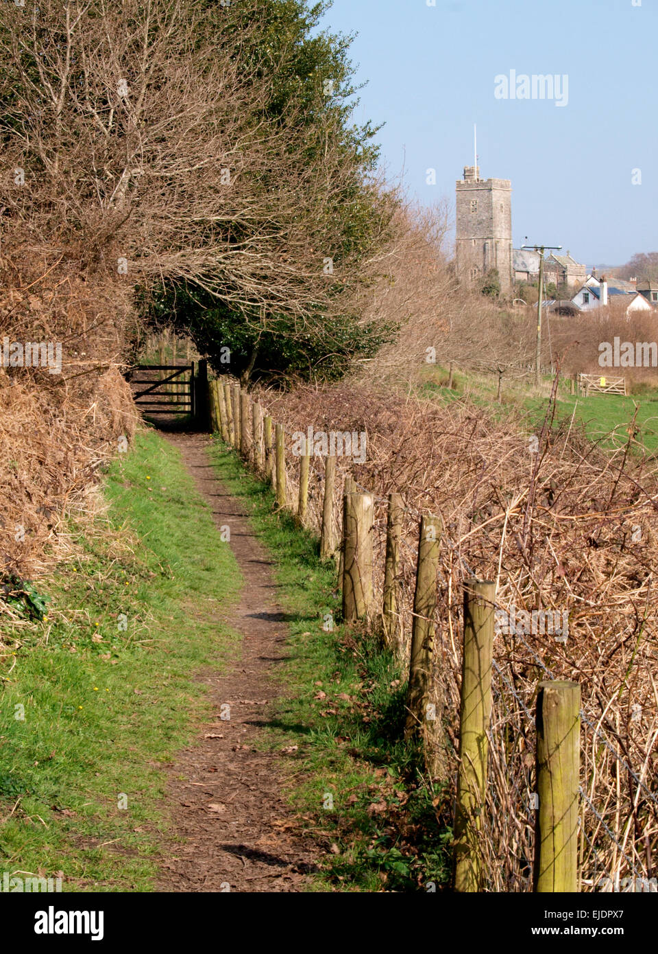 Tarka trail with the St Paul's Church in the distance, Landkey Town ...