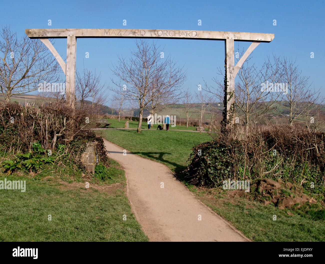 Devon orchard hi-res stock photography and images - Alamy