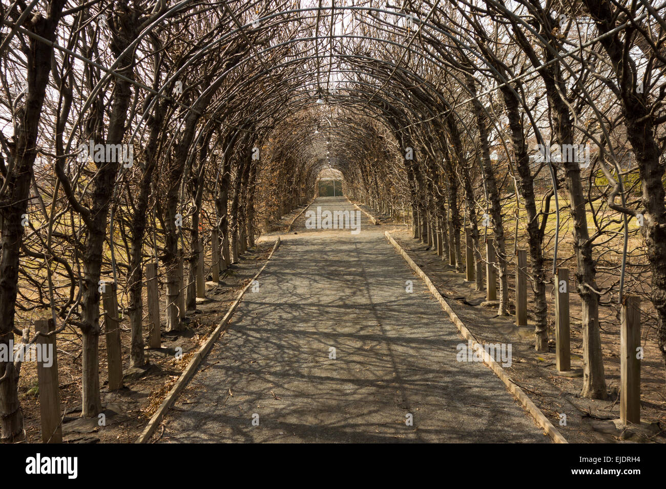 Staten Island Museum Stock Photo - Alamy
