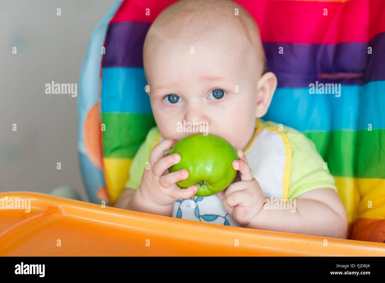 Adorable baby eating apple in high chair. Baby's first solid food Stock ...