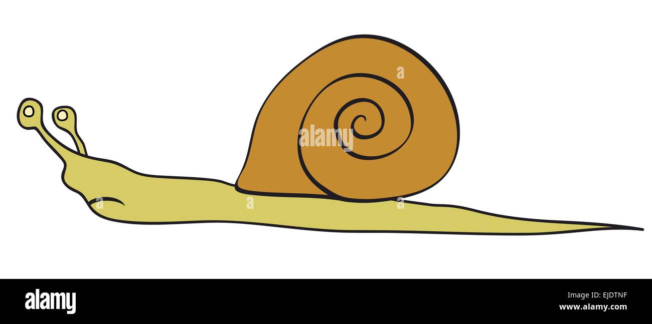 Vector illustration of the snail - slowly animal Stock Vector Image ...