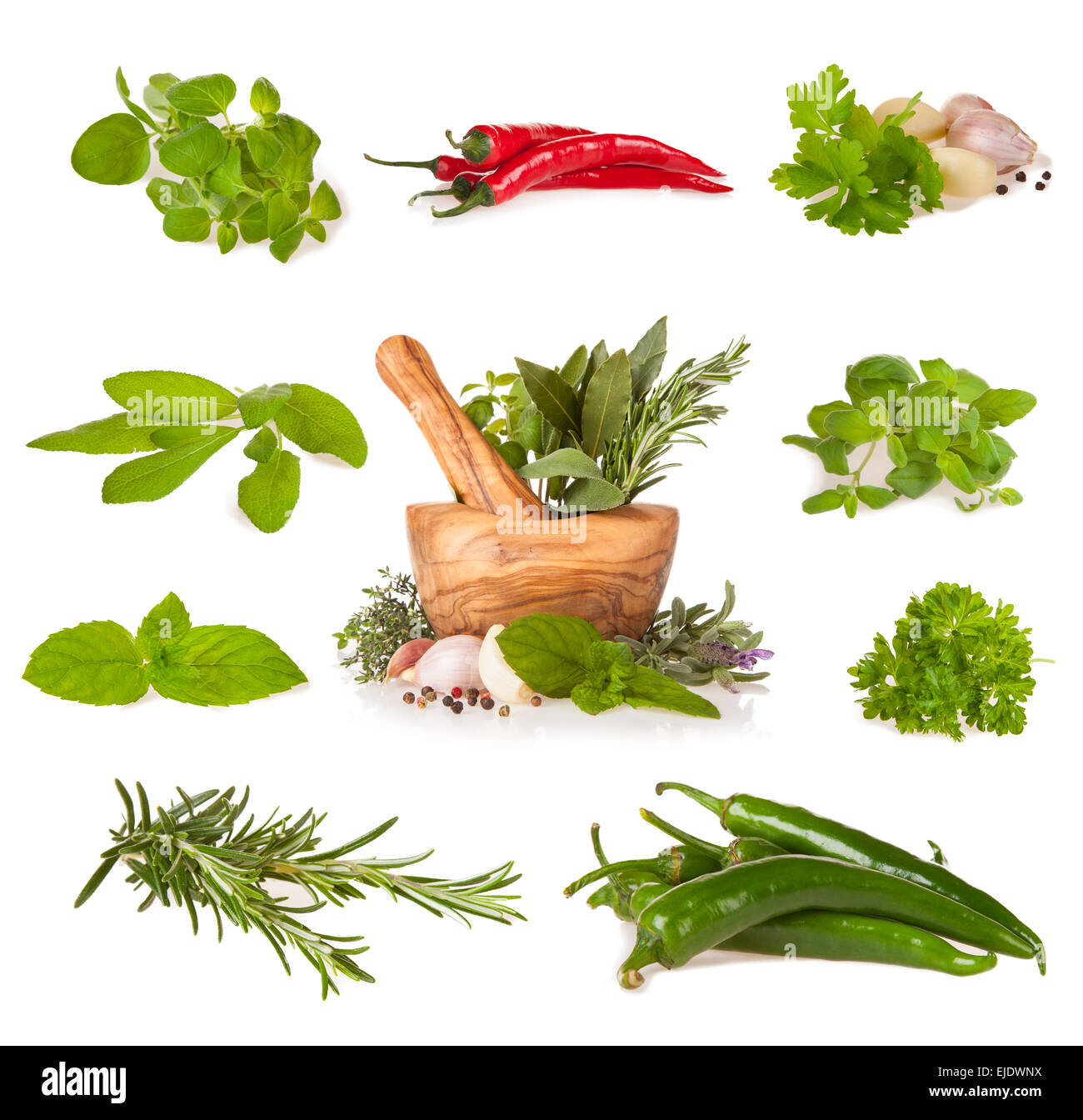 Various kind of fresh herbs with wooden mortar, isolated on white ...
