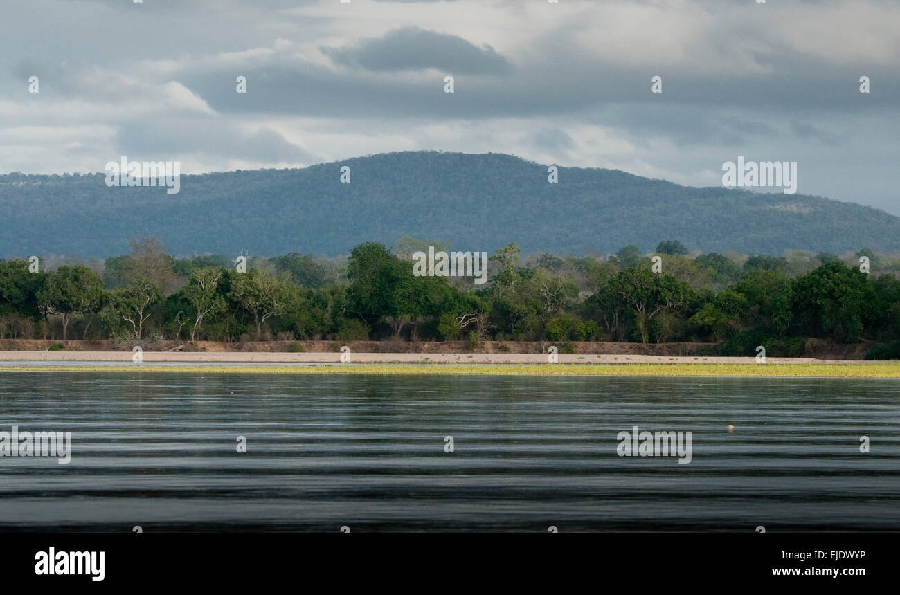 Rafigi hi-res stock photography and images - Alamy