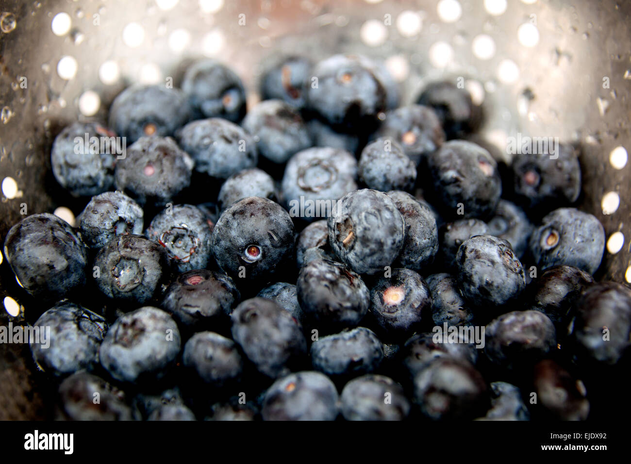 Fresh blueberries from chile hi-res stock photography and images - Alamy