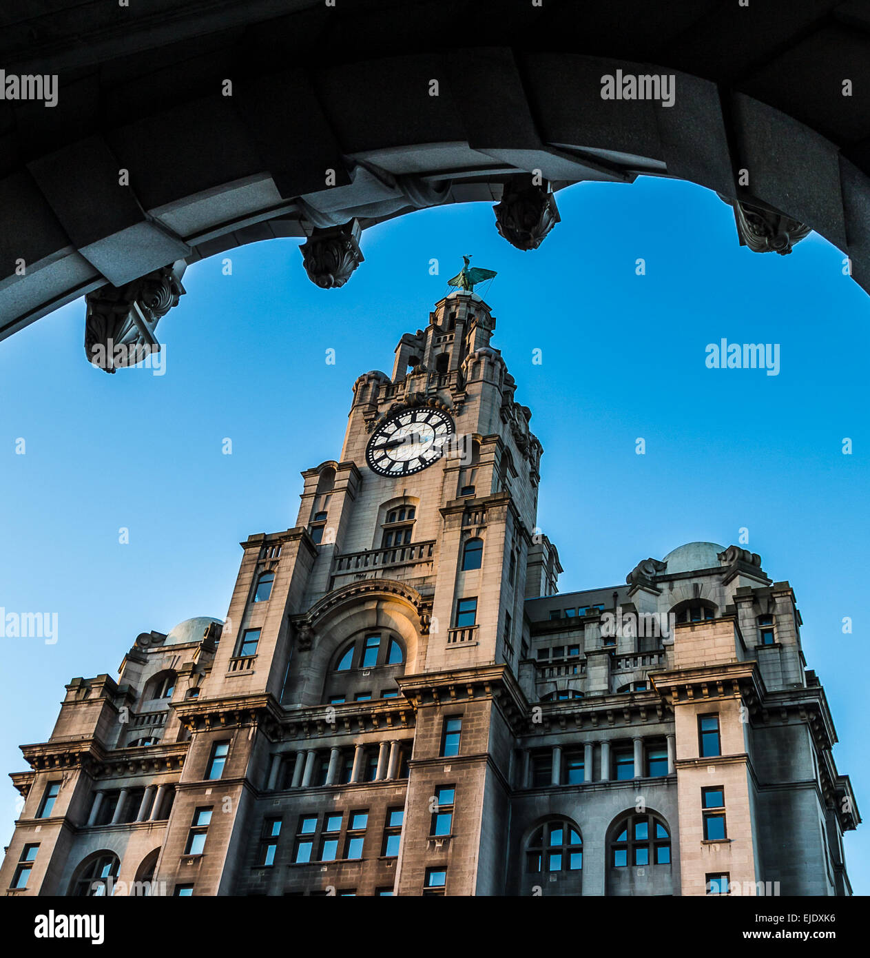 Liverpool liverbird building hi-res stock photography and images - Alamy