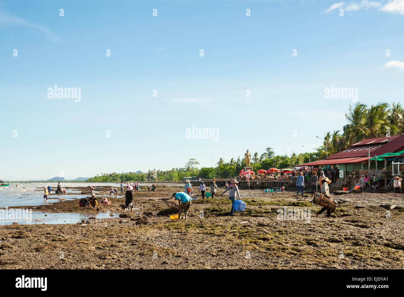 Crab Market in Kep, Cambodia. Traditional occupation for make a living ...