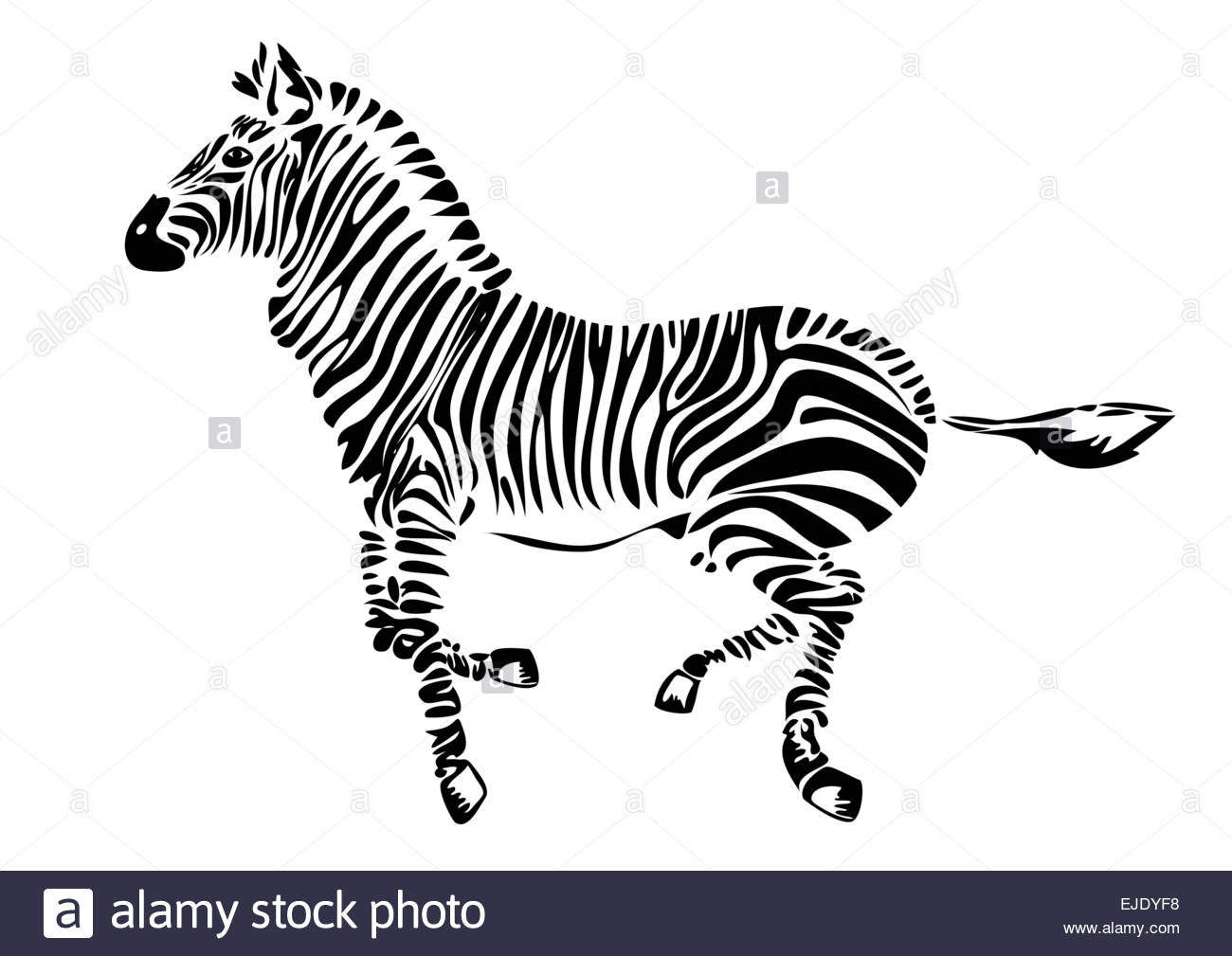 Zebra Vector Vectors Stock Photos & Zebra Vector Vectors Stock Images ...