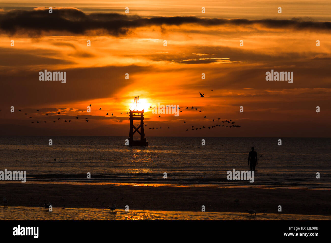 Flock of birds over the Iron Man Stock Photo - Alamy