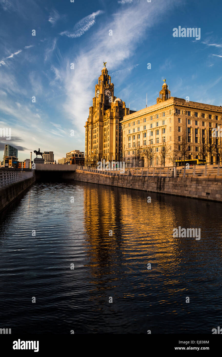 Golden hour by the Liver Building Stock Photo - Alamy