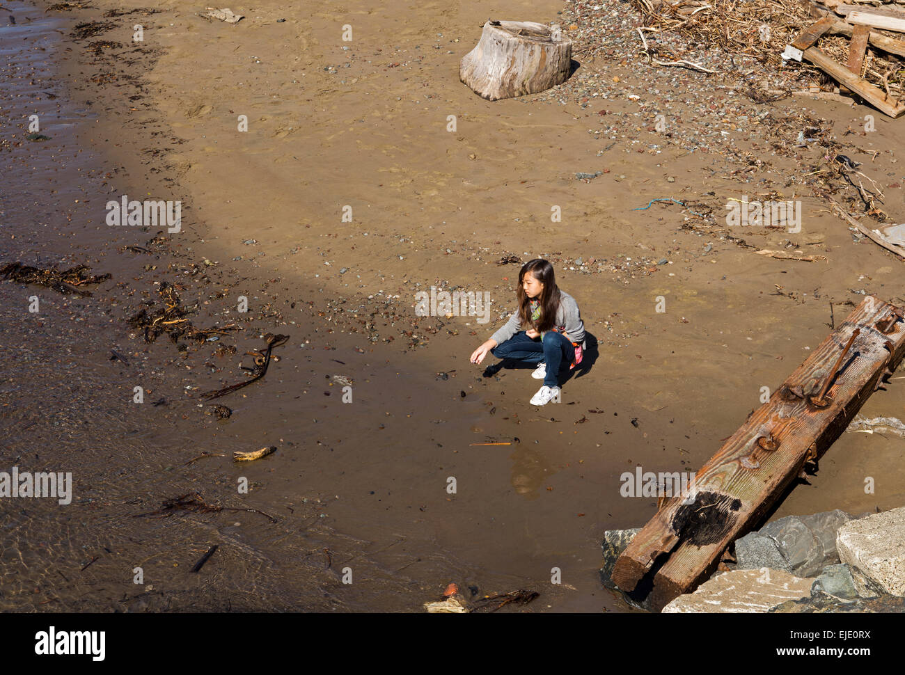 Girl Collecting Shells High Resolution Stock Photography and Images - Alamy