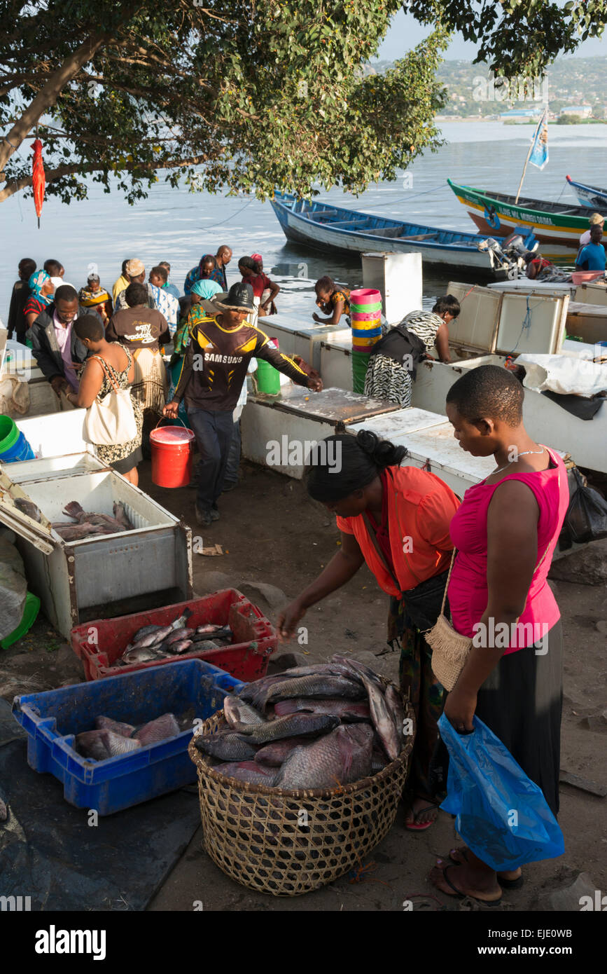Fish market. Mwanza. Lake Victoria. Tanzania Stock Photo - Alamy