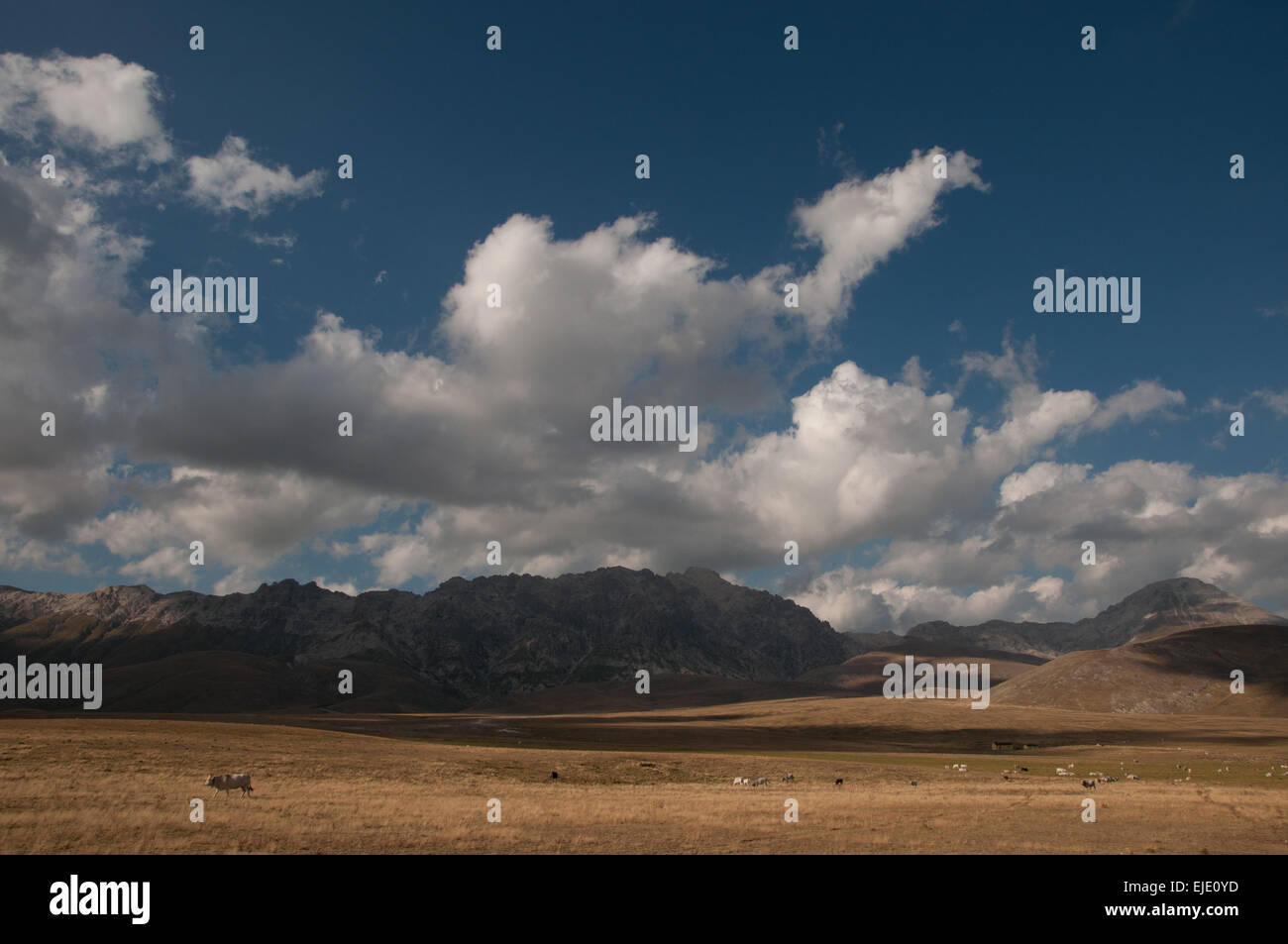 Highland and blue sky Stock Photo - Alamy