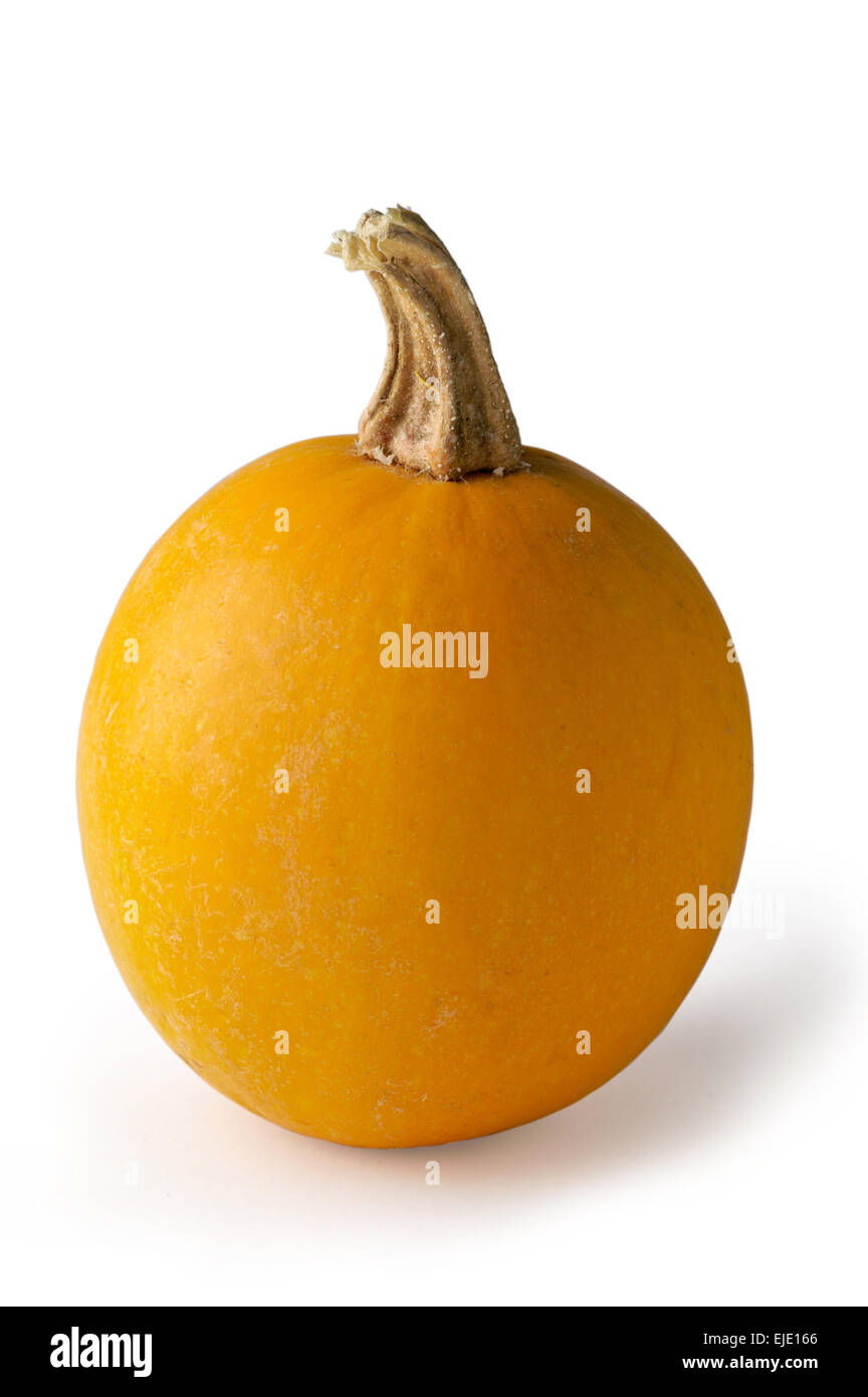 Pumpkin isolated on white Stock Photo - Alamy