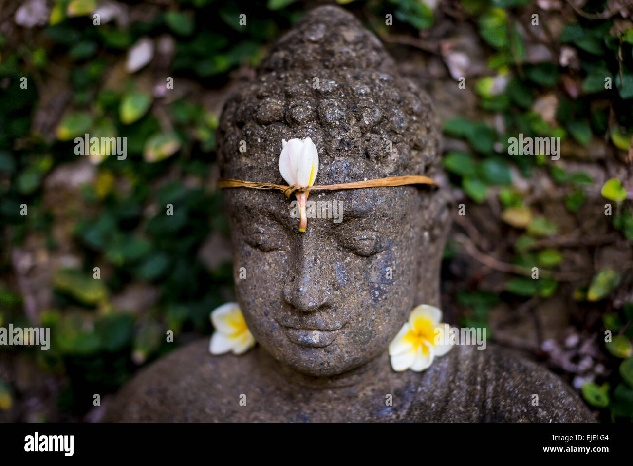 Indonesia bali buddha statue hi-res stock photography and images - Alamy