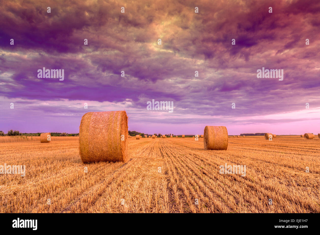 Hay bale field sunset hi-res stock photography and images - Alamy