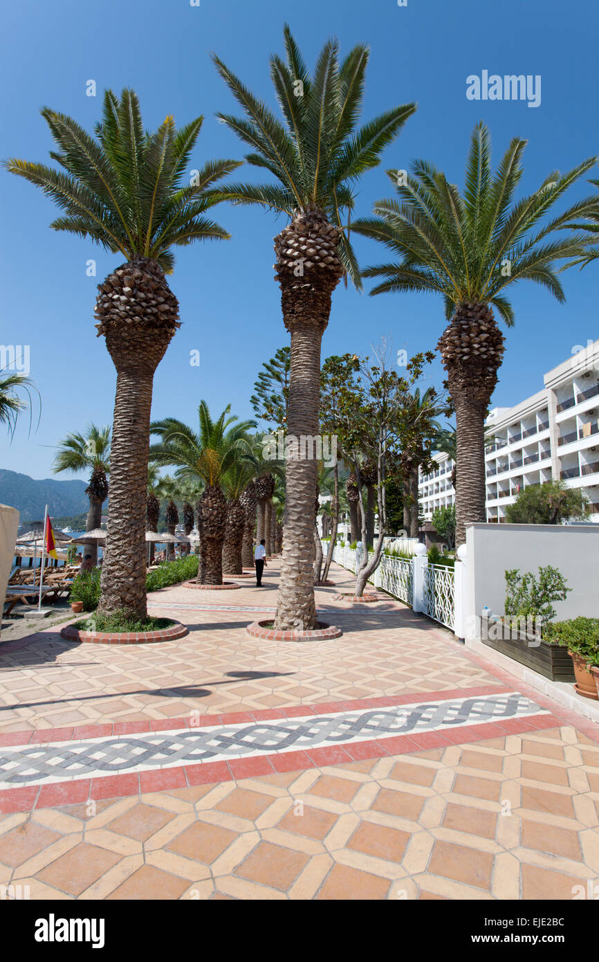 Palm tree by walk area in Marmaris, Turkey Stock Photo - Alamy