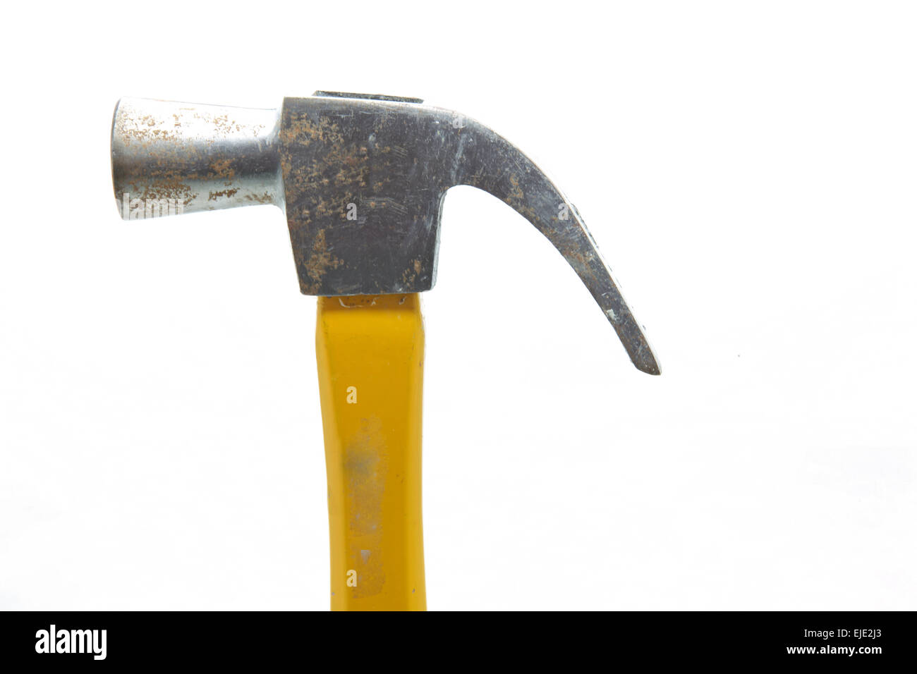 closeup of yellow hammer Stock Photo - Alamy