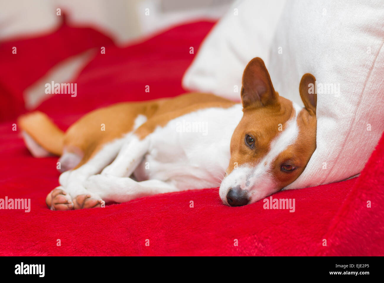 Tired rest hi-res stock photography and images - Alamy