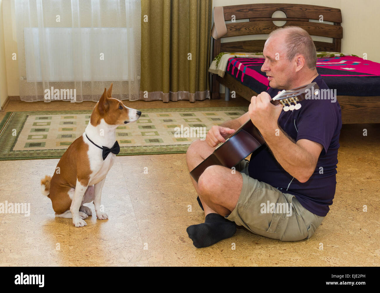 Old man playing with dog hi-res stock photography and images - Alamy