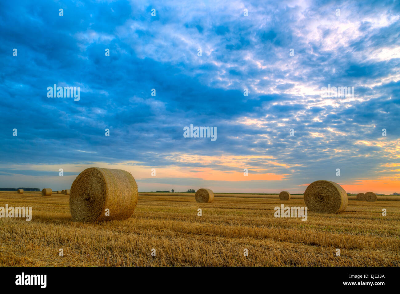 Sunset over farm field with hay bales in Hungary Stock Photo - Alamy
