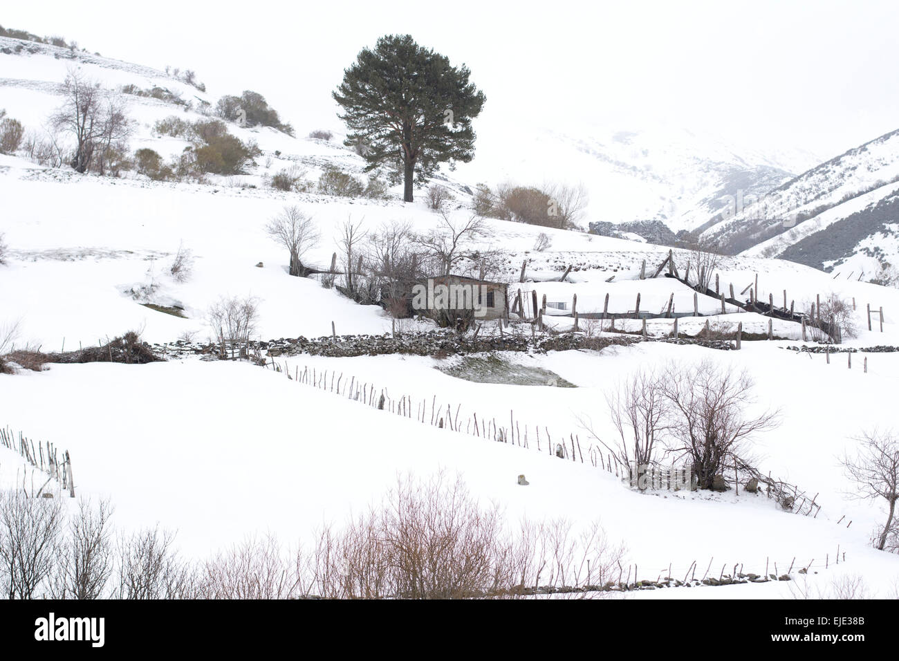Leon spain landscape hi-res stock photography and images - Alamy