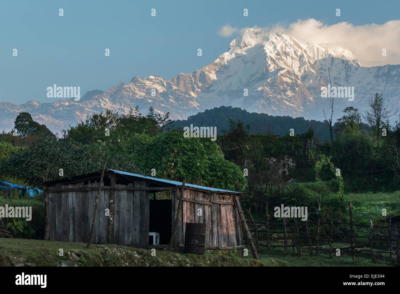 Sunrise in Pothana Stock Photo - Alamy