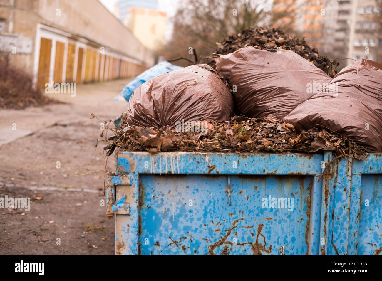 Autumn leaves in a garbage can Stock Photo - Alamy