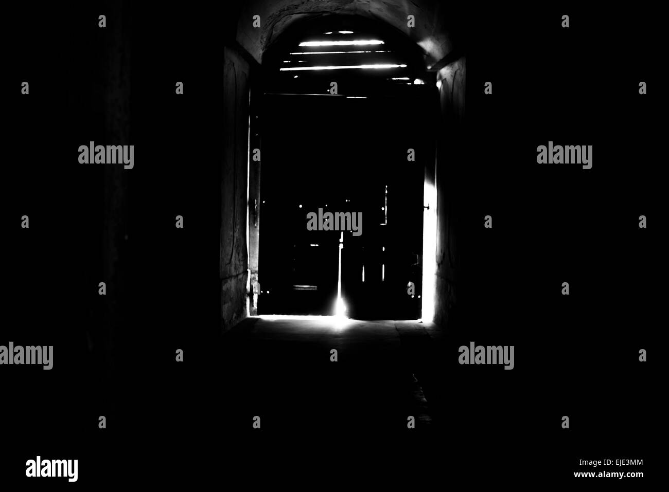 Mysterious door, secret entrance or exit Stock Photo - Alamy