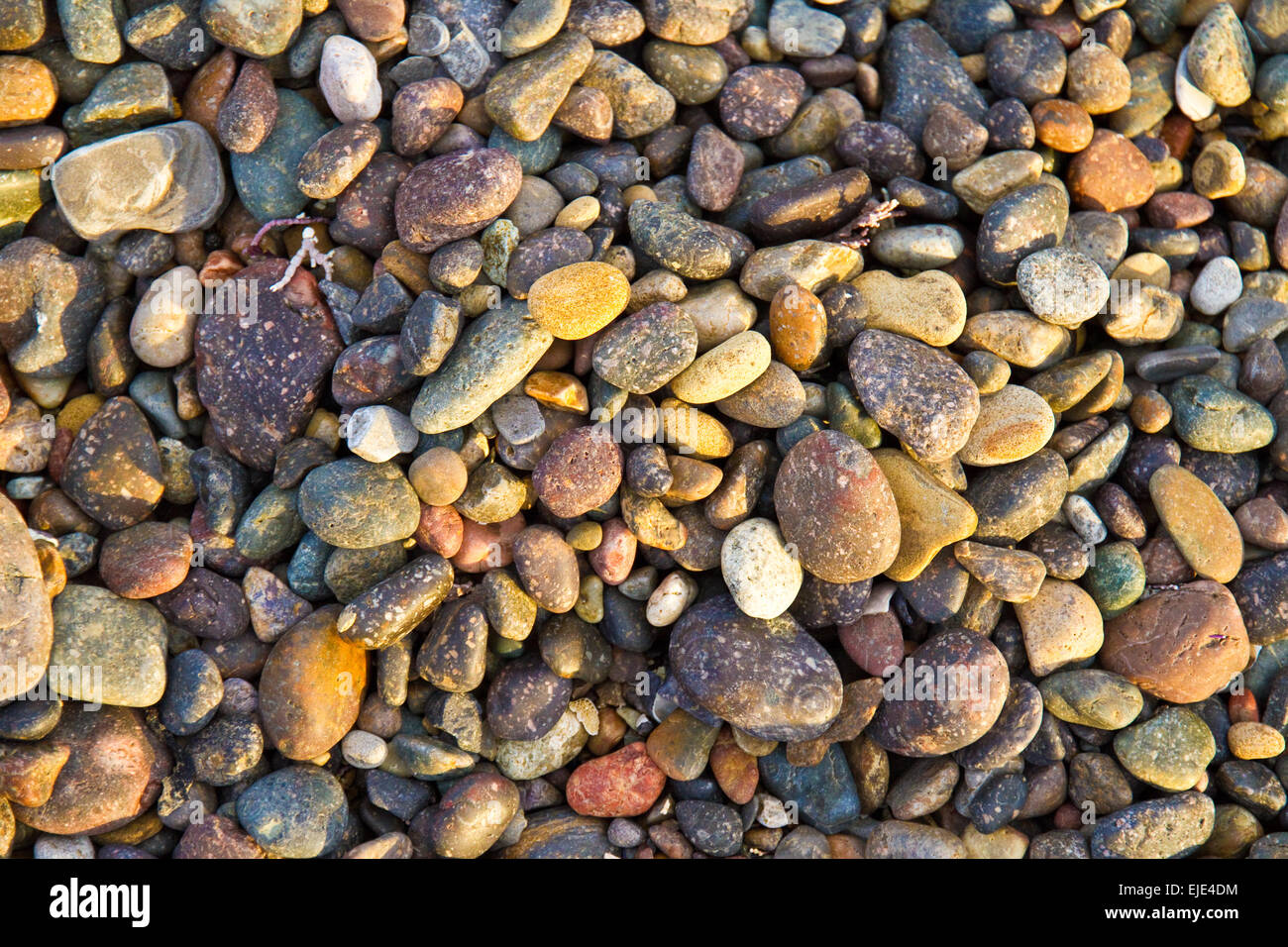 Colorful Ocean Rocks Pebbles Stock Photo - Alamy